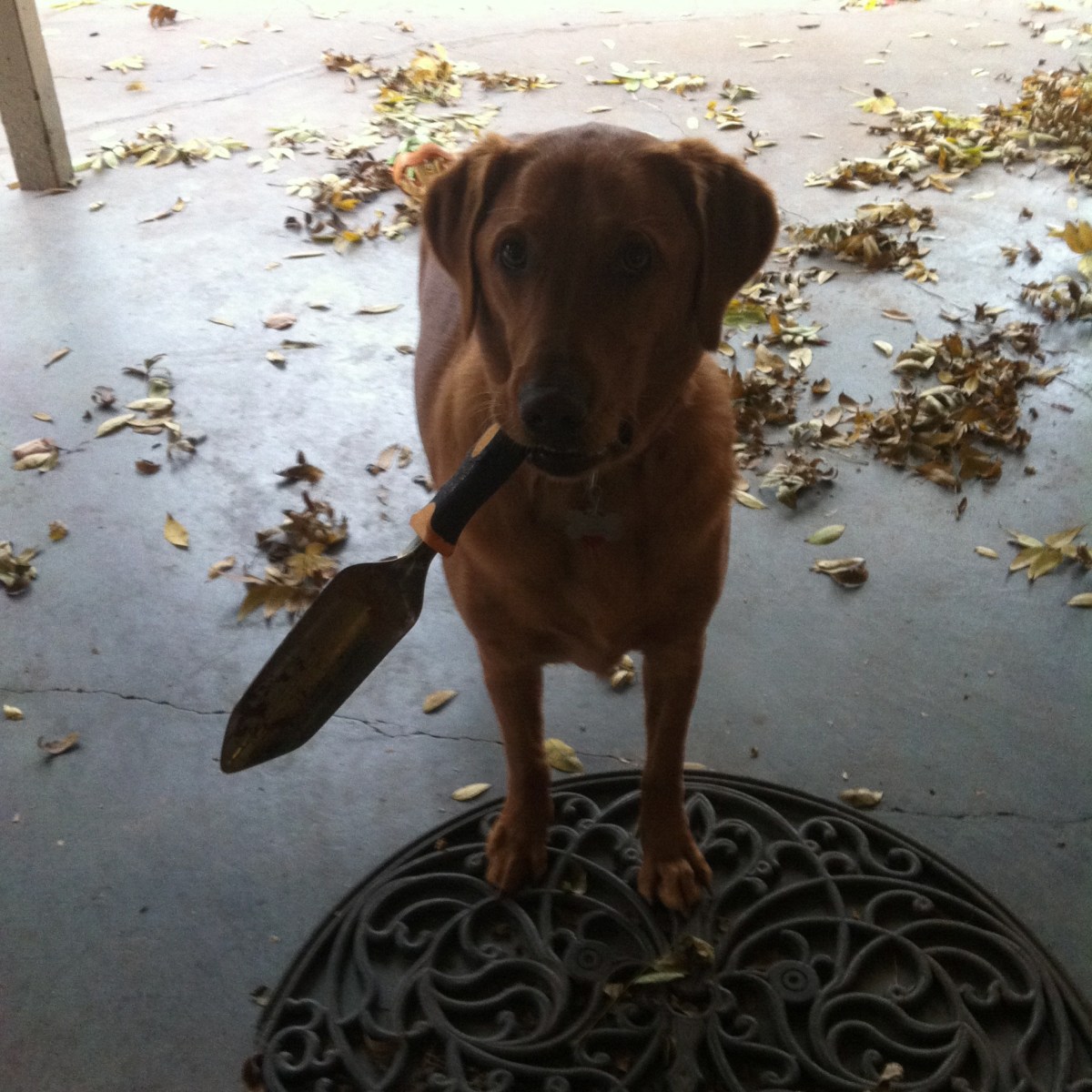 Actively waiting…. | cherie foster colburn